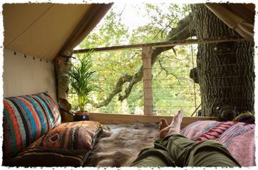 Our Story | Inhabit Treehouse Company